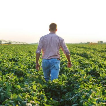 Fortuna Blue 80 WP – АГРИЯ АД